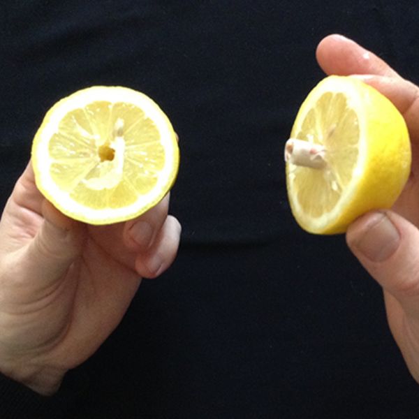 CITRUS: The Next Generation (C2 - Small) by Nourdine – All Things Magic