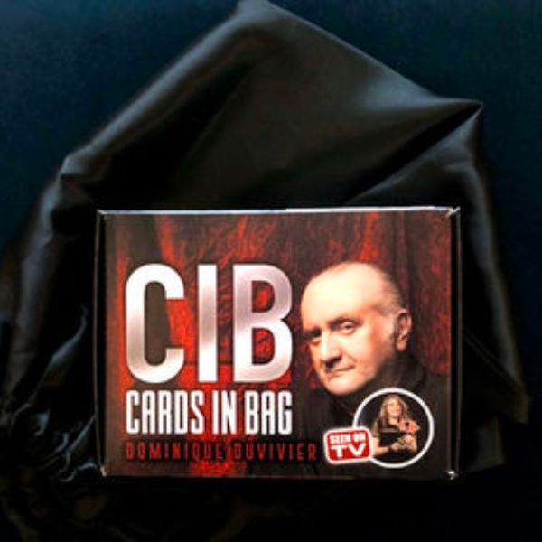 CIB: Cards In Bag by Dominique Duvivier – All Things Magic