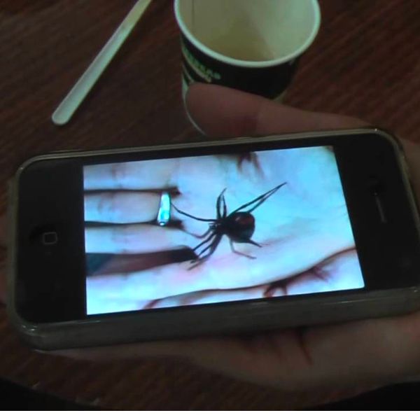 Magic Spider Pro-Pack by Ian Pidgeon – All Things Magic